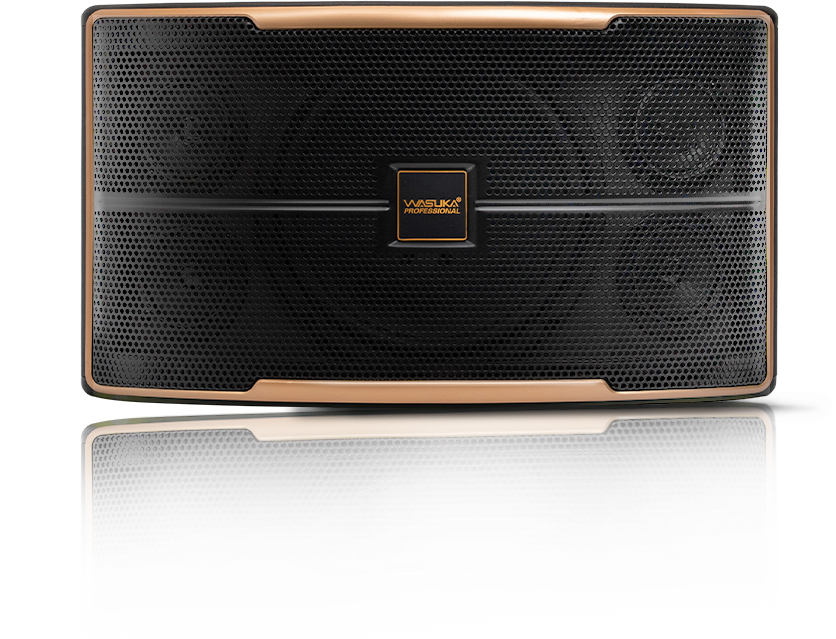Teo Heng Trading Pte Ltd - Enjoy the Home Karaoke Experience